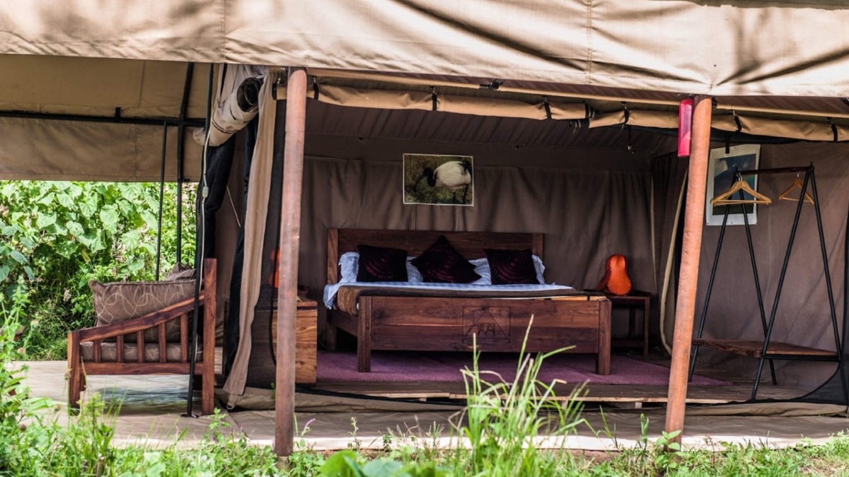 6 Days Tarangire, Manyara, Serengeti, Ngorongoro Safaris