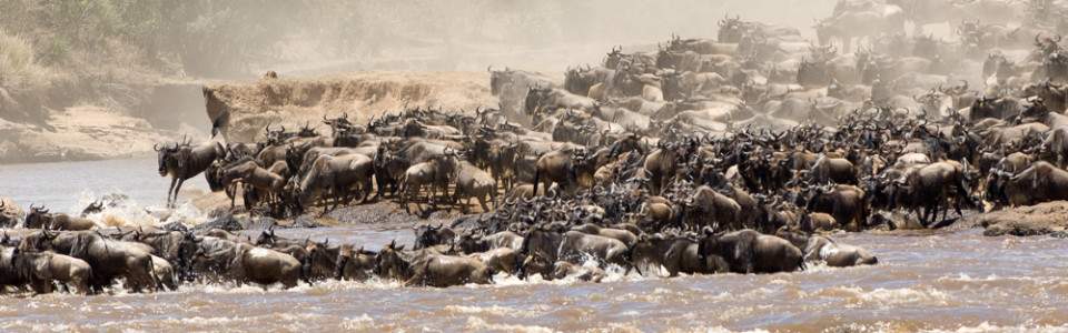 6-Day Maasai Mara Wildebeest Migration Safari in Kenya
